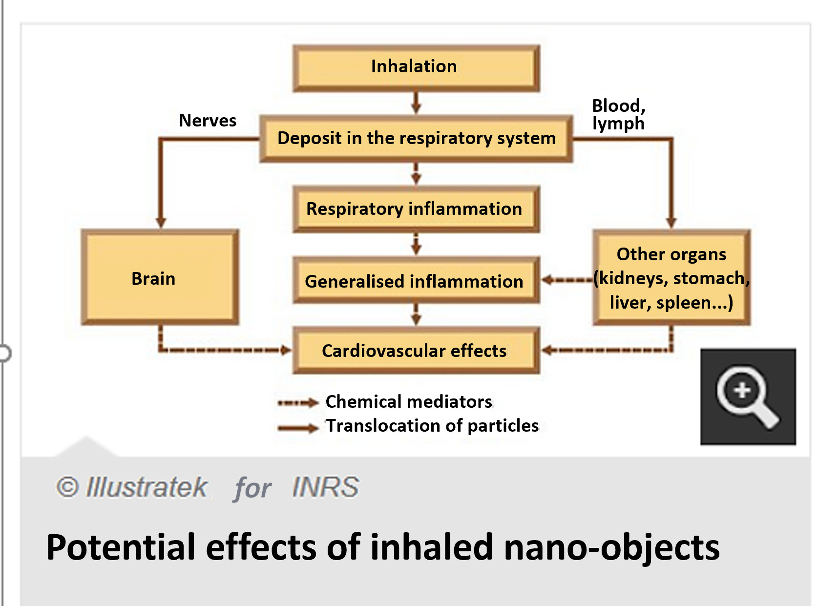 Nanoparticles - WHS Innovations for Reliability